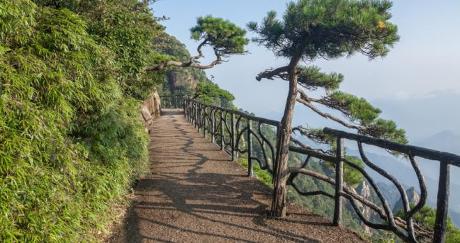 8D Picturesque Jiangxi Mt. Lushan/ Mt. Shanqing/ Mt. Longhu + Wuyuan ...