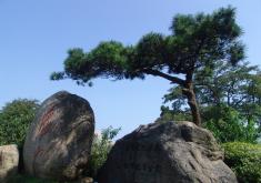 9D Jiangxi Mt. Lushan/ Mt. Longhu/ Mt. Sanqing + Wuyuan from CTC Travel