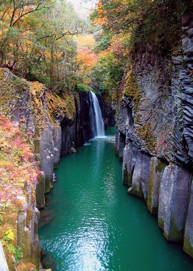 10D All Japan Splendor/ Fantasy (JJFS/JJFF) from SA Tours