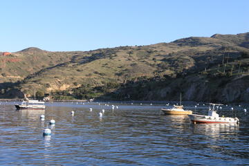 Catalina Island Two Harbors Tour from Avalon from Viator